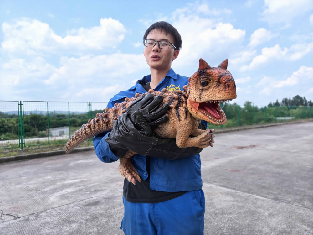 The Best Animal Handlers For Hire In Bangor UK